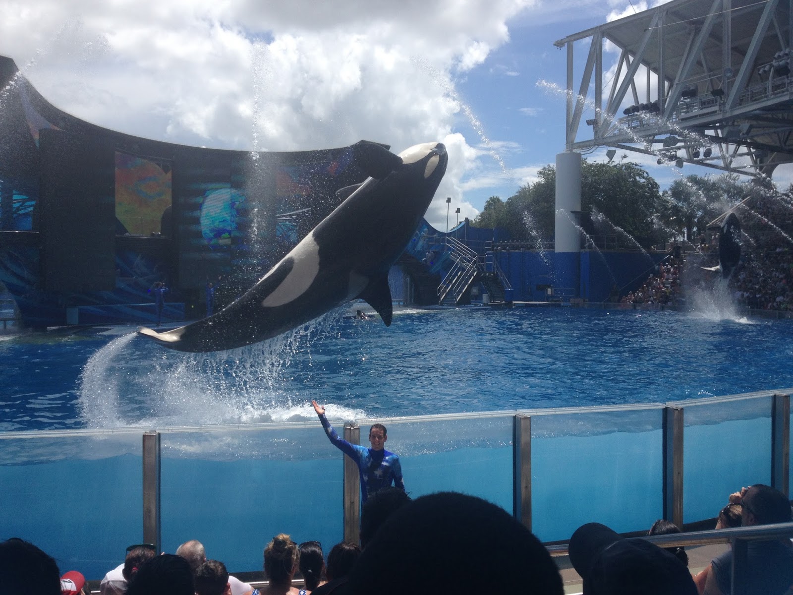 JustAnnieQPR: Florida, Seaworld, a review..................